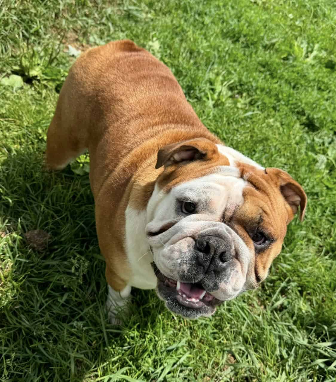 Cars & Trucks For Sale - Want Ad Digest