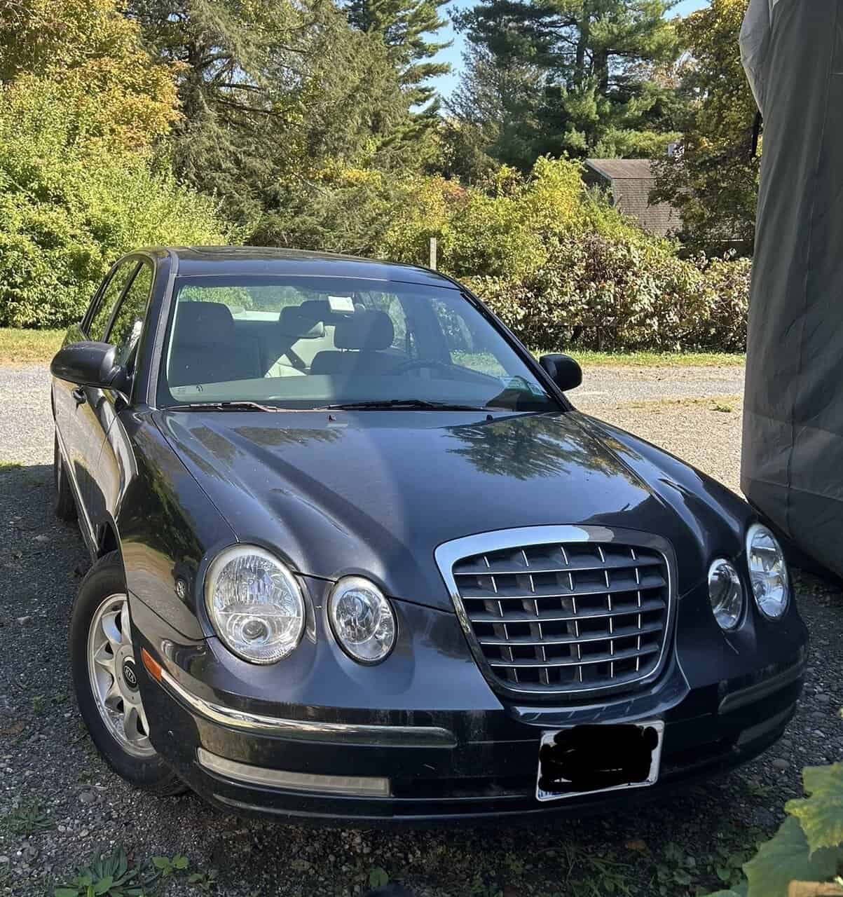 Find Newest Ads on Want Ad Digest - Discover the Latest Classifieds