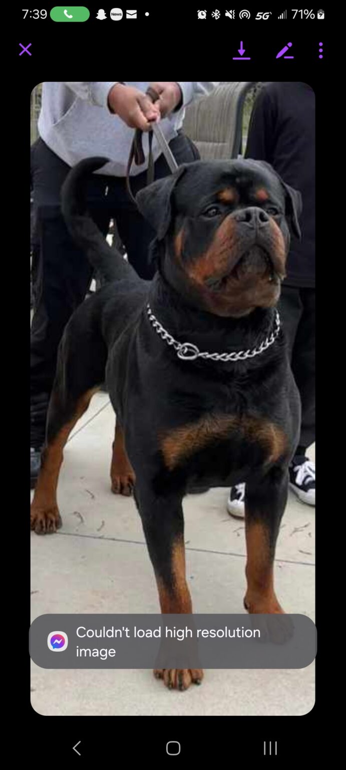 Find Newest Ads on Want Ad Digest - Discover the Latest Classifieds