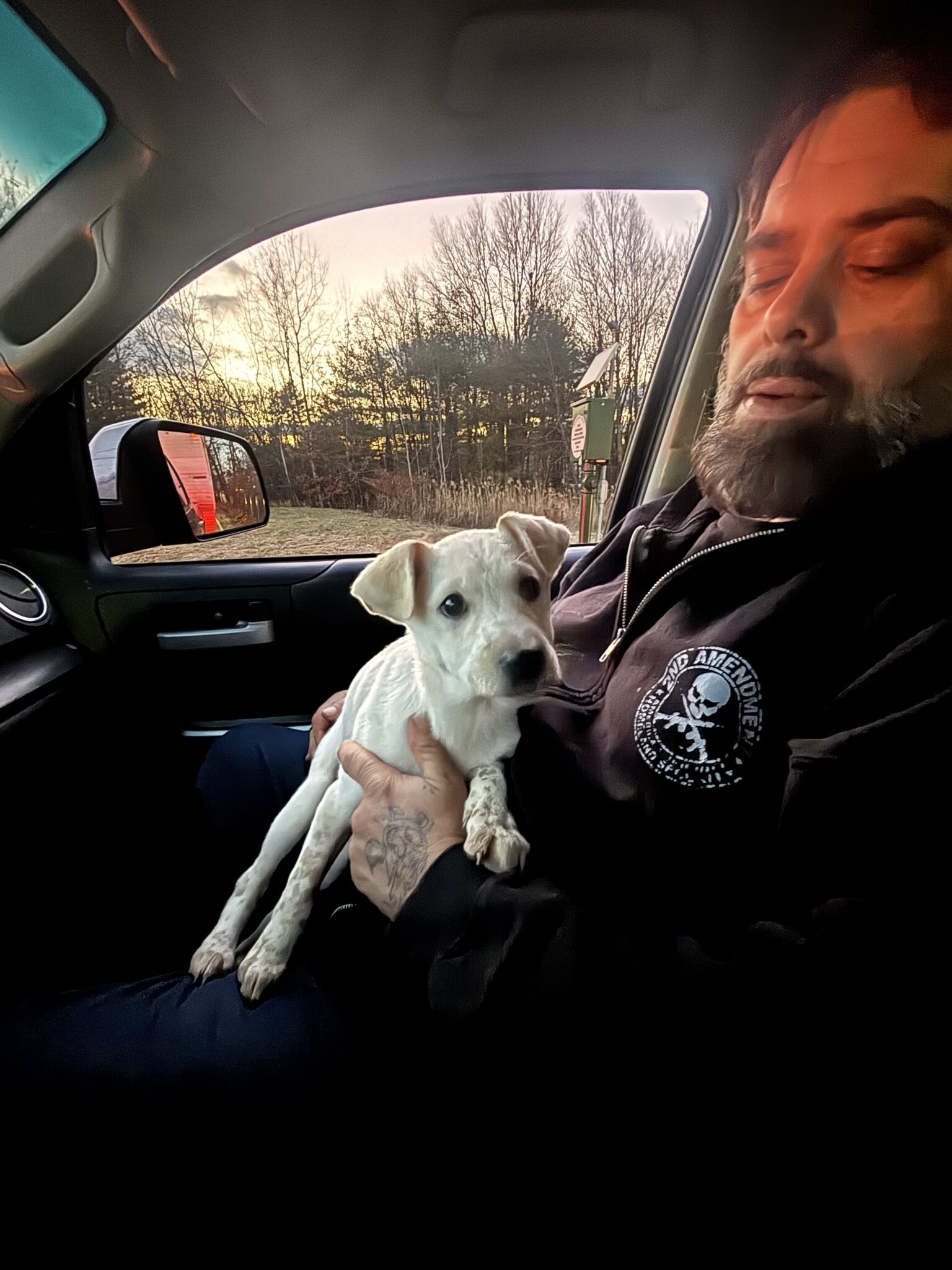 Want Ad Digest - Classified ads Buy or sell Puppies, Cars, and more