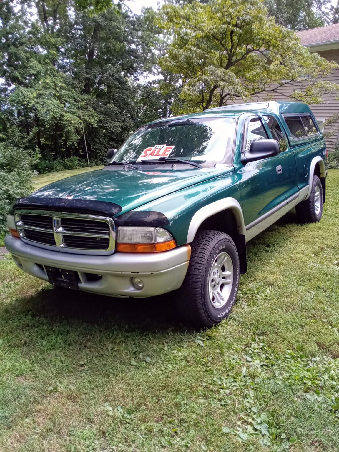 Find Newest Ads on Want Ad Digest - Discover the Latest Classifieds