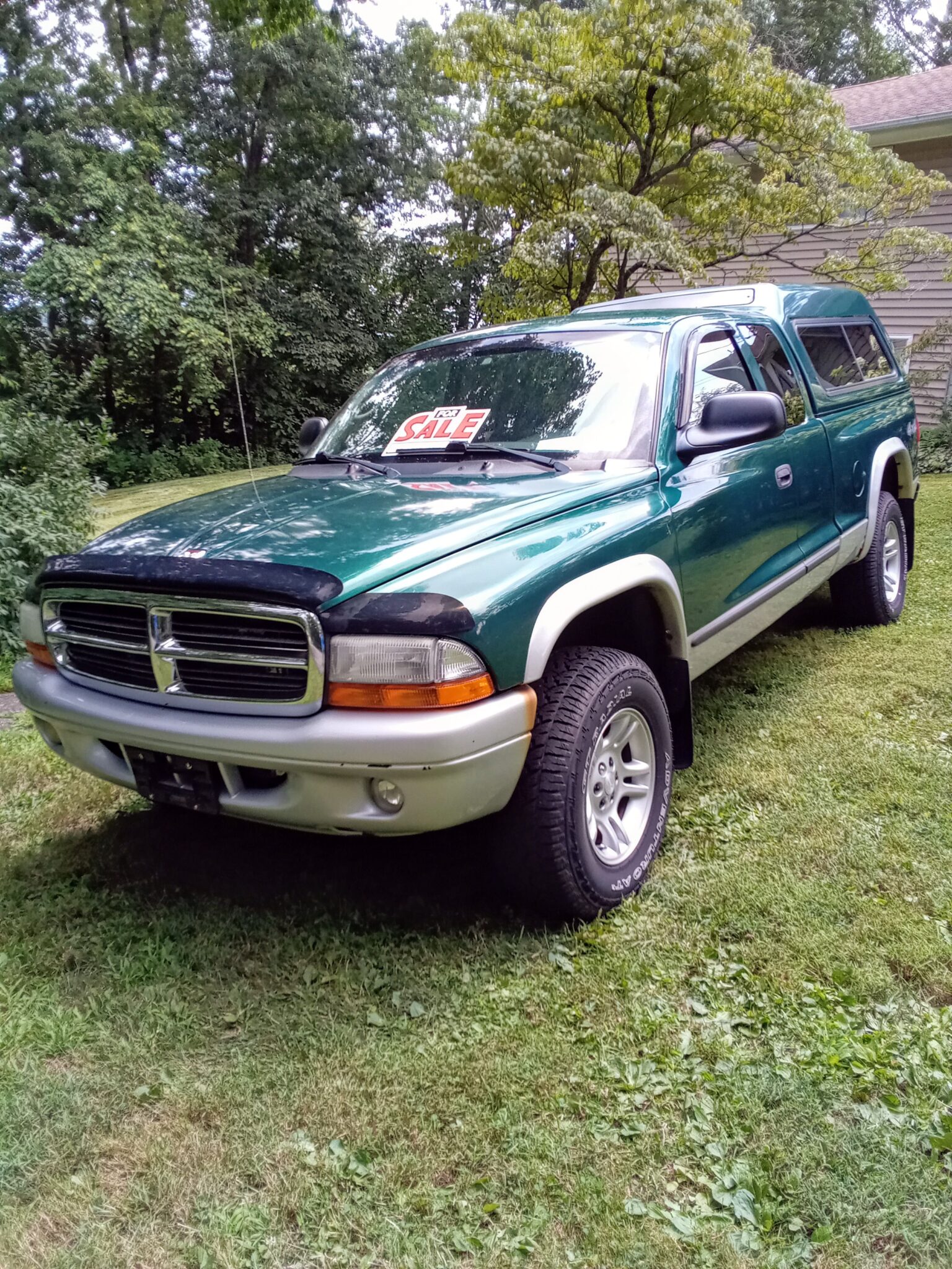 Find Newest Ads on Want Ad Digest - Discover the Latest Classifieds